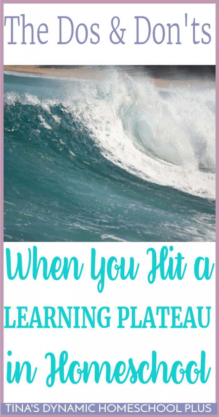 The Dos & Don’ts When You Hit A Learning Plateau in Homeschooling