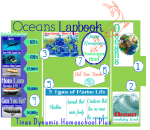 Free Ocean Lapbook and Fun Homeschool Unit Study Ideas