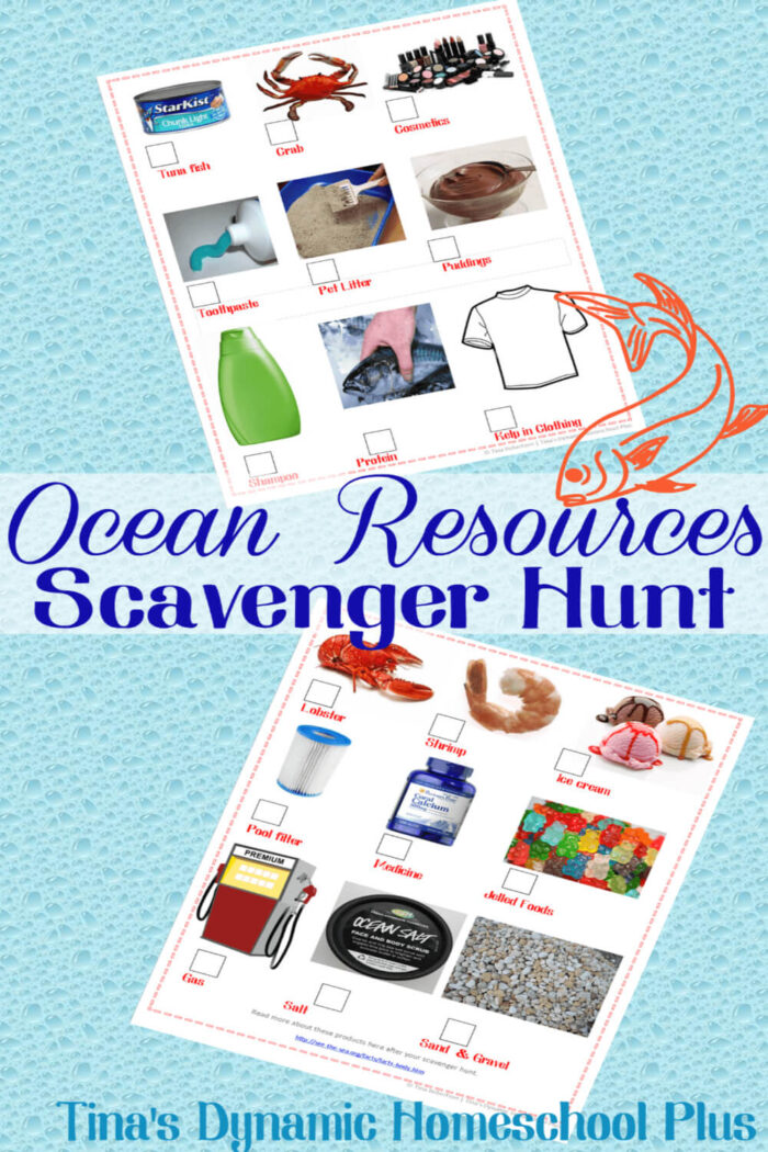 Ocean Lapbook Printables and Lapbook for a Homeschool Unit Study
