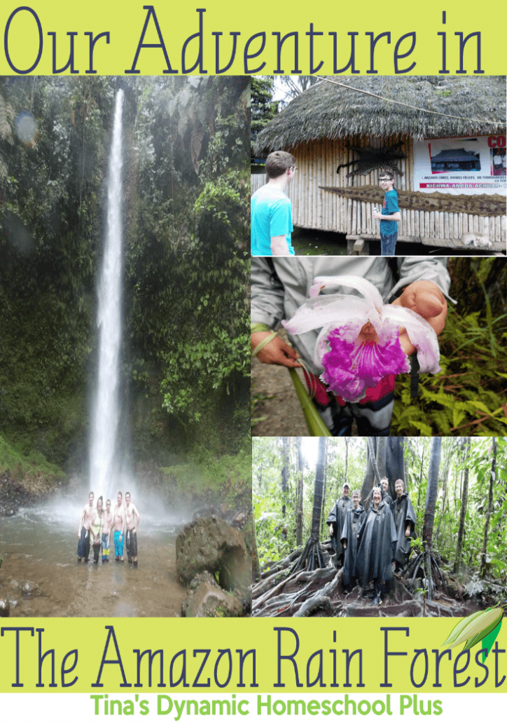 Our Adventure in The Amazon Rain Forest
