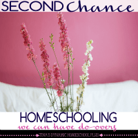 Second Chance Homeschooling. Can We Have Do-Overs?