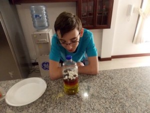 Homeschool Unit Study Human Body.Activity 4.Making Blood