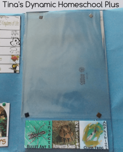 4 Clever Ways to Store Writing in Lapbooks