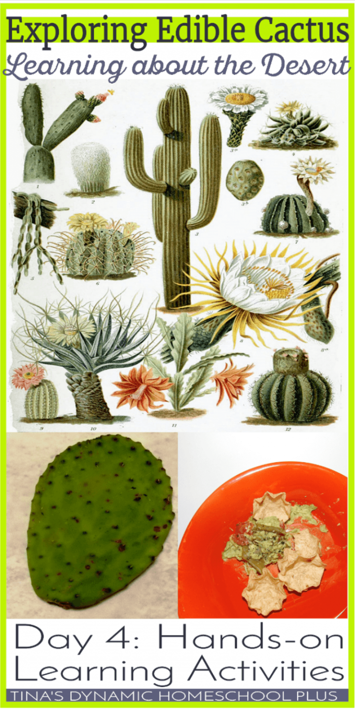 Exploring Edible Cactus: Day 4 Hands-on Learning (The Desert)