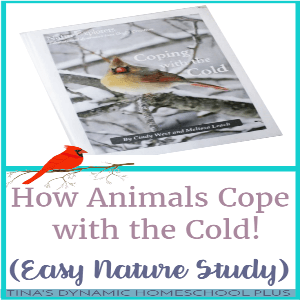 How Animals Cope With the Cold (Easy Nature Study)