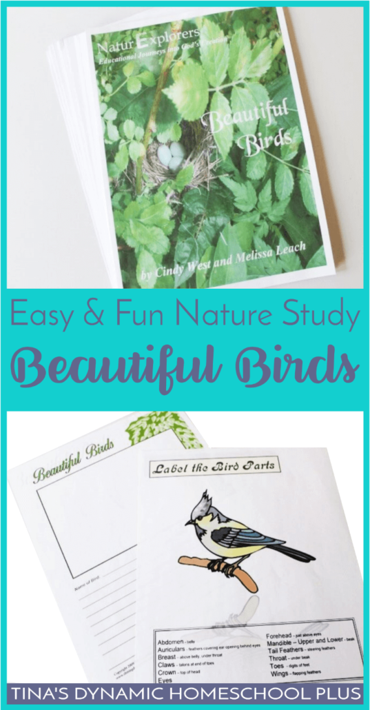 Easy and Fun Nature Study: Beautiful Birds