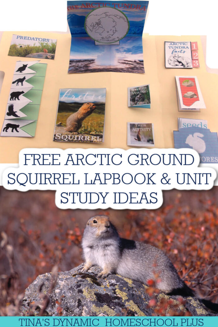 Free Arctic Ground Squirrel Lapbook & Fun Unit Study Resources