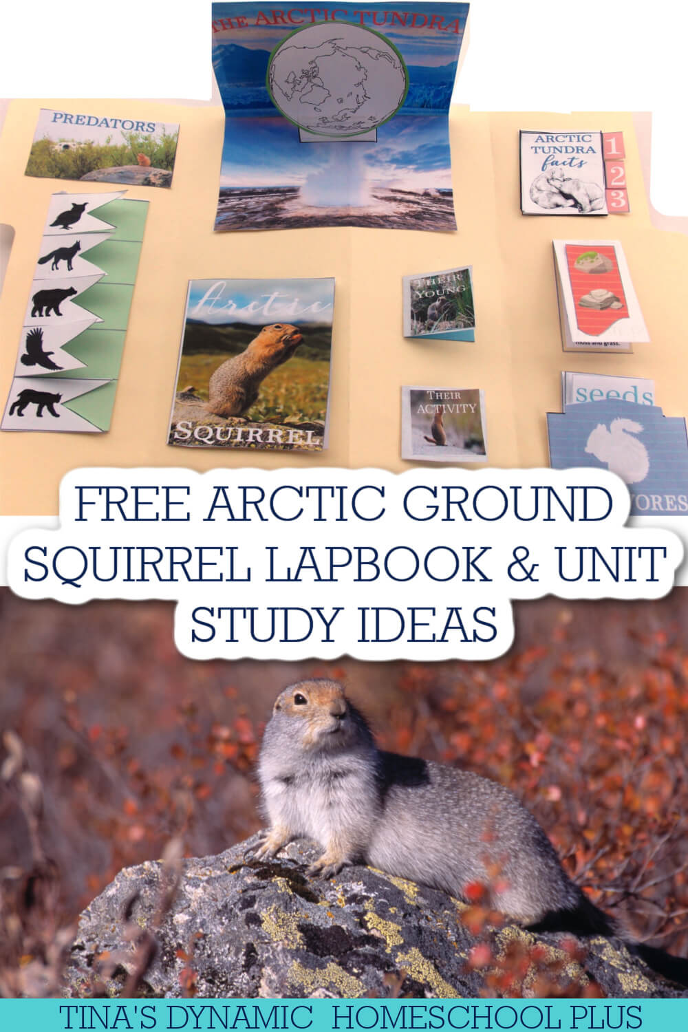 Free Arctic Ground Squirrel Lapbook & Fun Unit Study Resources