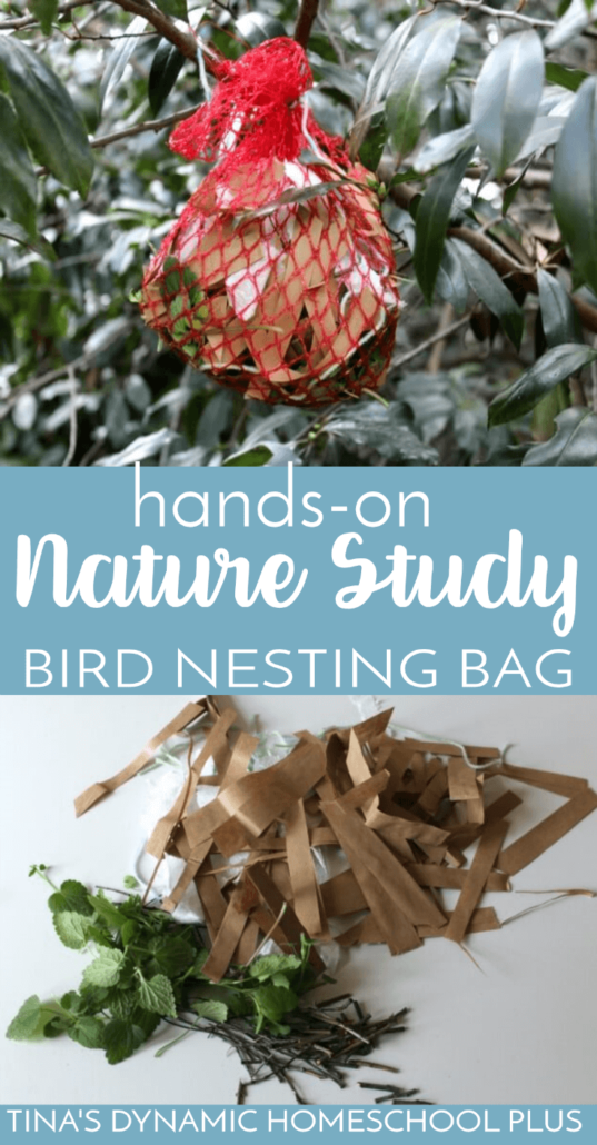 Hands-On Nature Study: Make a Fun Bird Nesting Bag