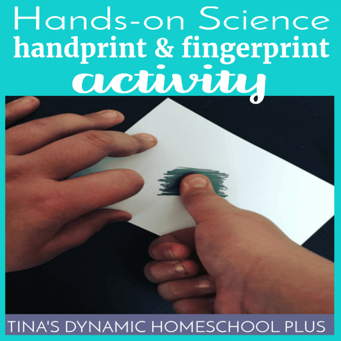 Hands-On Science: Handprint and Fingerprint Activity