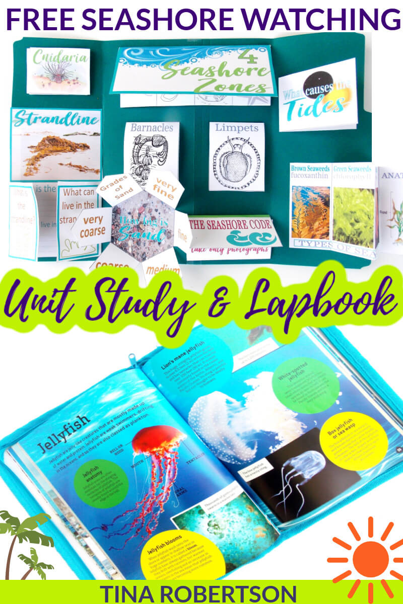 Free Super Seashore Watching Unit Study and Beach Lapbook