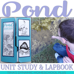 Above & Below: Pond Unit Study, Hands-on Ideas, & Lapbook