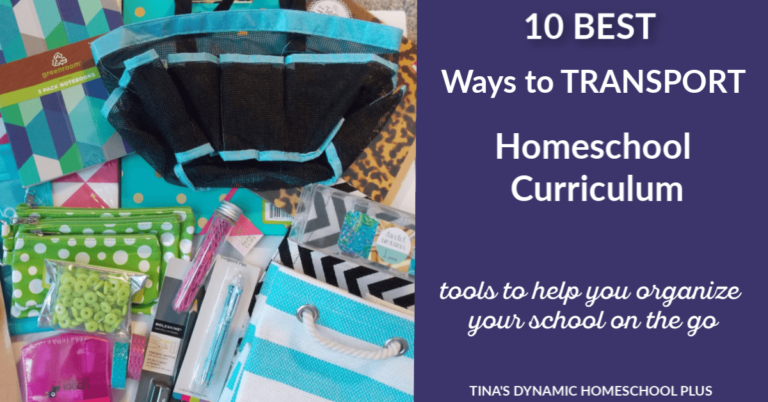 10 Best Ways to Transport Homeschool Curriculum (Gift Ideas too)