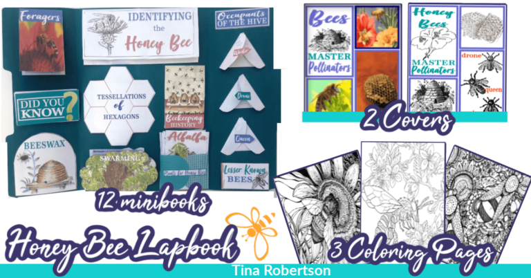 Fascinating and Fun Honey Bees Unit Study and Lapbook for Kids