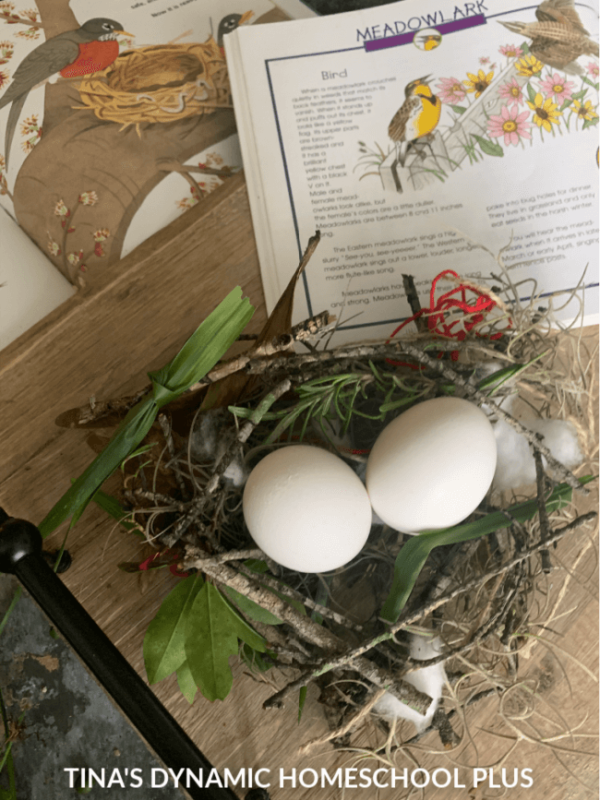 How to Make a Kid's Fun and Easy Bird Nest Activity
