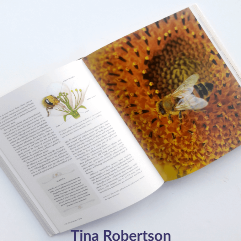 Fascinating and Fun Honey Bees Unit Study and Lapbook for Kids