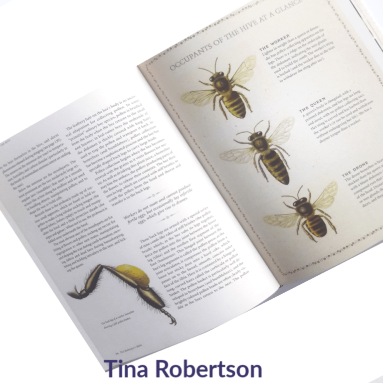 Fascinating and Fun Honey Bees Unit Study and Lapbook for Kids