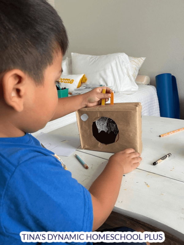 Why Bats Are Not Birds Fun Homeschool Unit Study and Lapbook