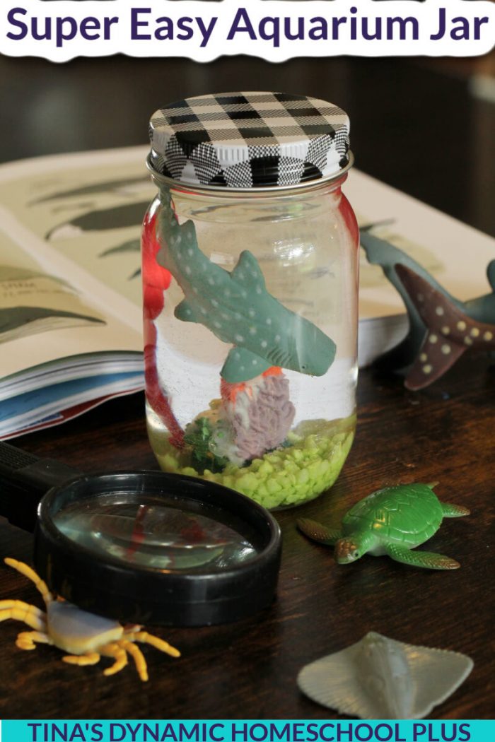 Super Easy and Fun Aquarium Jar Craft For Summer Activities for Middle ...