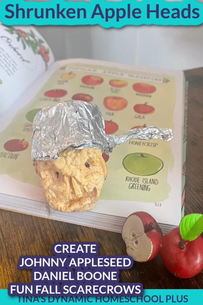 Dried Apple Crafts Hands-on Fun Shrunken Head Apple Craft for Kids