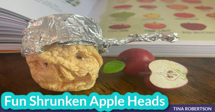 Dried Apple Crafts Hands-on Fun Shrunken Head Apple Craft for Kids