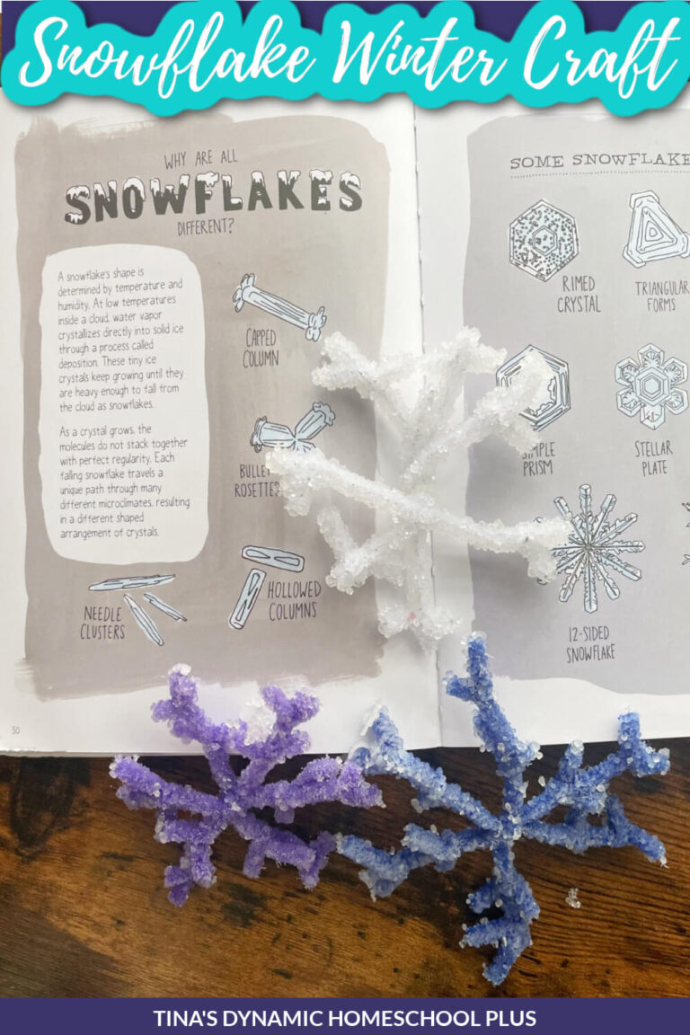 Snow and Snowflake Facts for Kids and Fun Hands-on Exploding Snowman