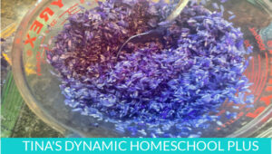 4 Fun and Engaging Bat Activities for Kindergarten