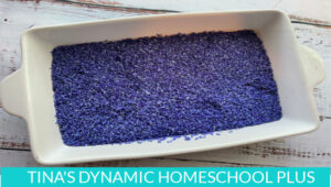 4 Fun and Engaging Bat Activities for Kindergarten