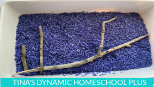 4 Fun and Engaging Bat Activities for Kindergarten