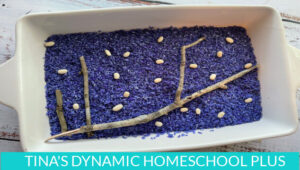 4 Fun and Engaging Bat Activities for Kindergarten