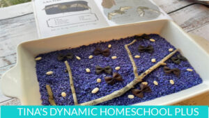 4 Fun and Engaging Bat Activities for Kindergarten