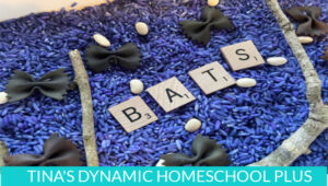 4 Fun and Engaging Bat Activities for Kindergarten
