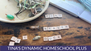 Pond Life for Kindergarten Activity Build a Fun Beaver Dam