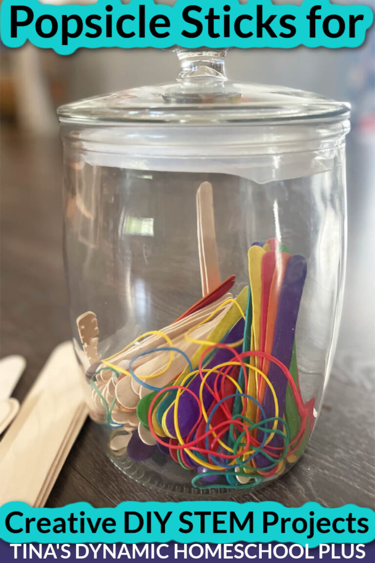National STEM Day - Popsicle Sticks for Creative DIY STEM Projects