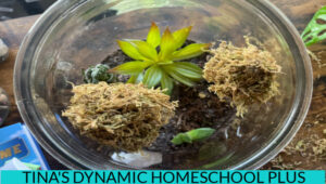 Rainforest Science Activities For Kindergarten Amazing and Fun Living ...