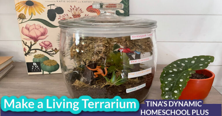 Rainforest Science Activities For Kindergarten Amazing and Fun Living ...