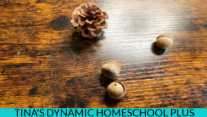 Homeschool Kindergarten Life Science - Hands-on Fun Nature Tree Study