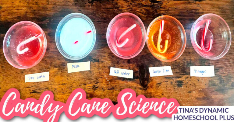 Two Fun Candy Cane Hands-on Science Winter Experiments