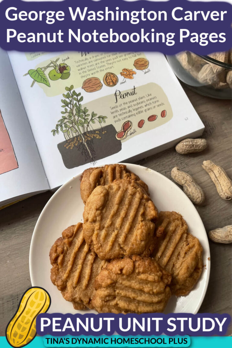 George Washington Carver Fun Peanut Quick Unit Study & Notebooking Pages