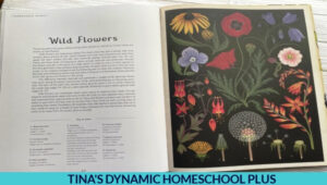 Botany Homeschool Curriculum Review of Botany in 8 Lessons Grades 4-8