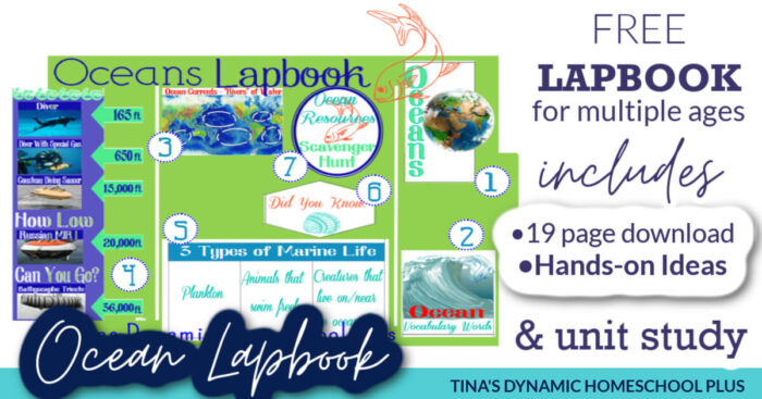 Free Ocean Lapbook and Fun Homeschool Unit Study Ideas