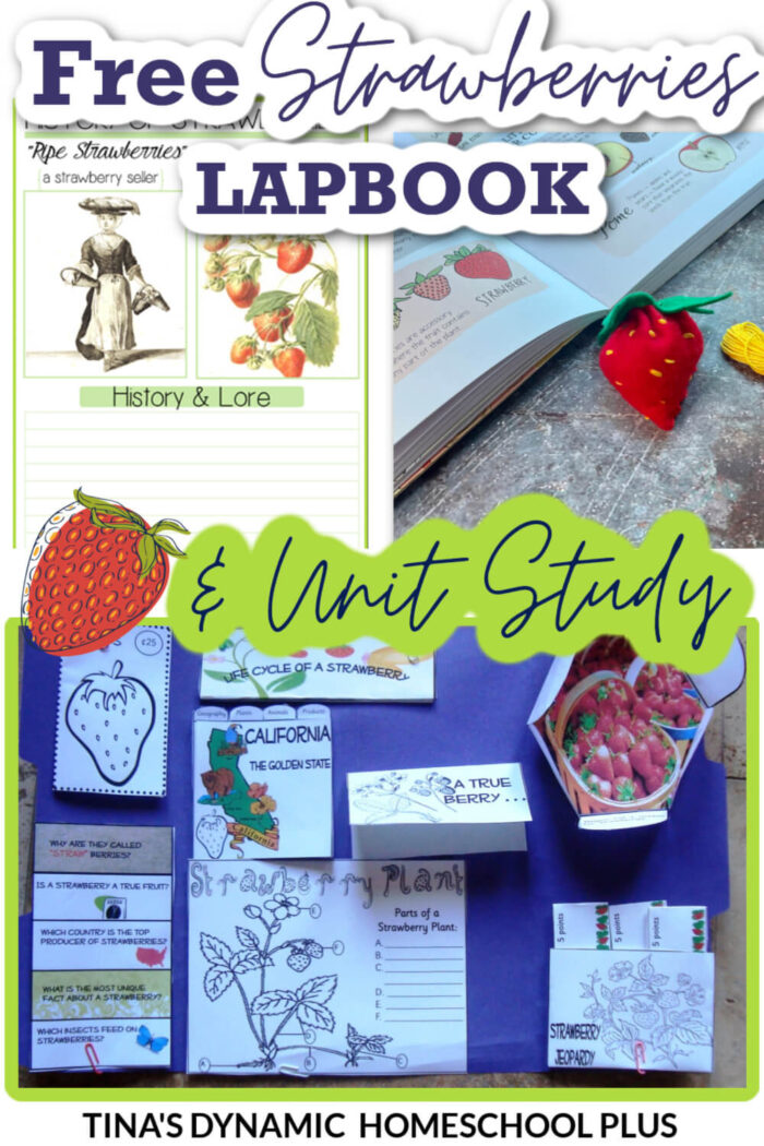Free Printable Strawberries Lapbook and Fun Homeschool Unit Study Ideas