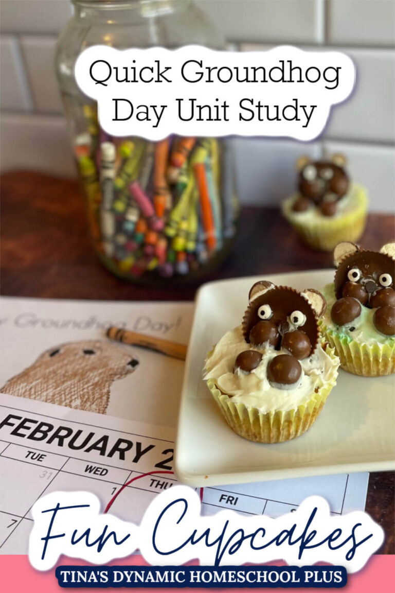 Quick Groundhog Unit Study and Fun Cupcake Activity for Kids