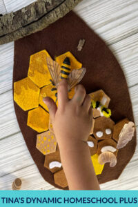 7 Honey Bee Activities And Explore a Bee Hive With Felt Activity