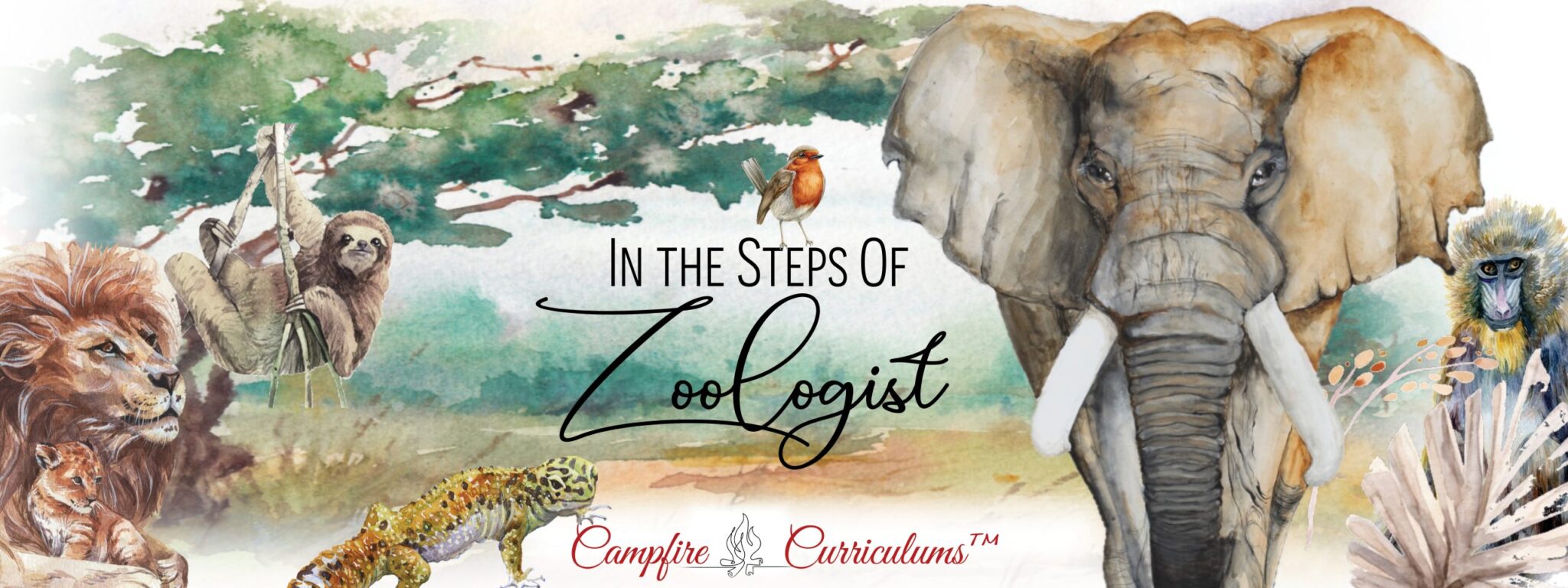 How to Create a Homeschool Zoology Unit Without a Curriculum and Cute ...