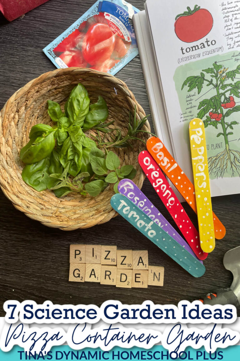 7 Science Garden Ideas and Make a Pizza Container Garden