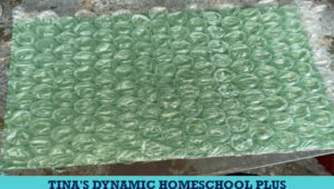 Fun Easy Amazon Rainforest Crafts and Make a Bubble Wrap Pattern Anaconda