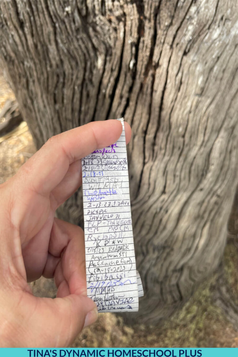 Fun Outdoor Activities For Middle Schoolers Geocaching and Nature Study
