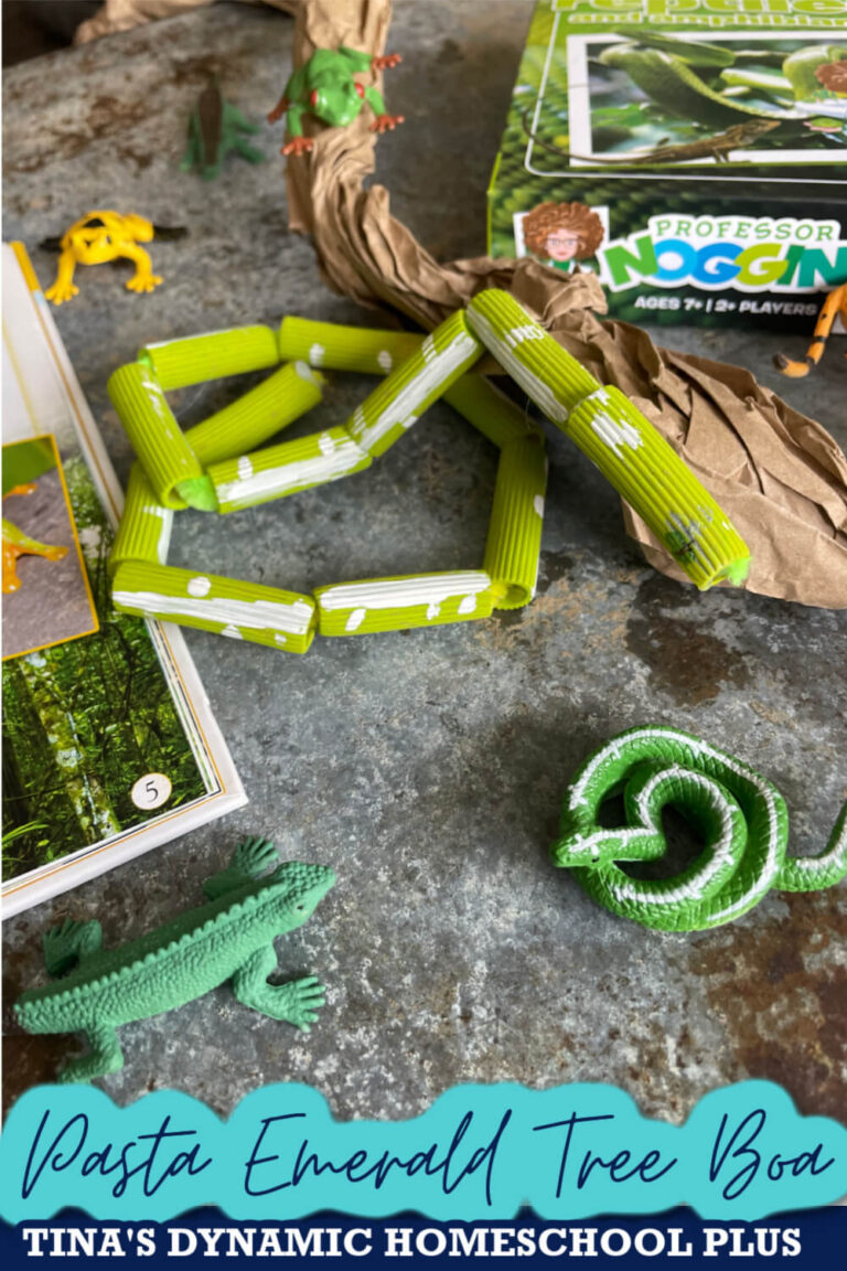 Amazon Rainforest Predators and Make a Fun Pasta Emerald Tree Boa