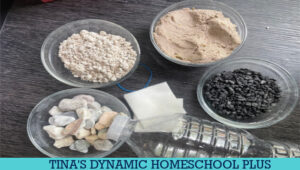 Free Swiss Family Robinson Unit Study And Easy DIY Water Filter